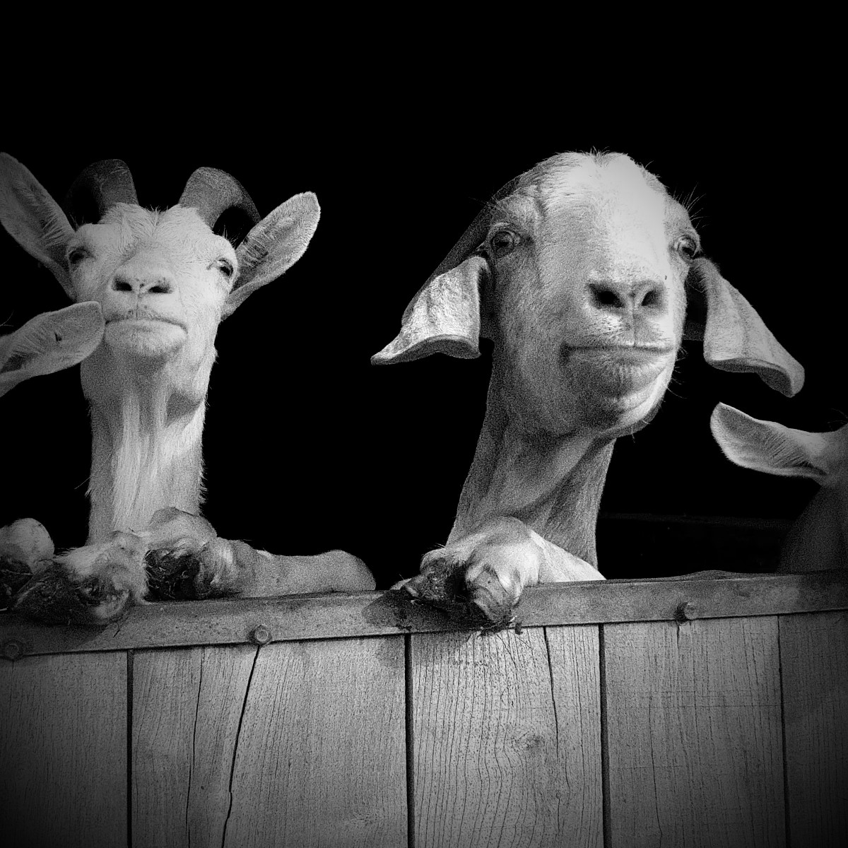 Meade Locker & Processing | Meat Processing | Meade KS